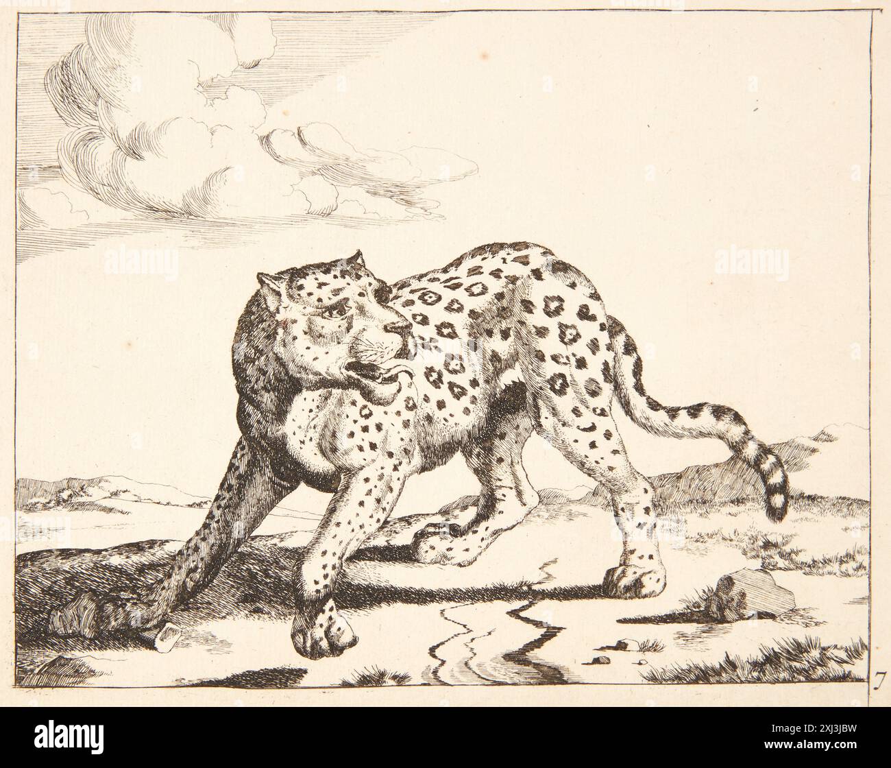 Standing Leopard Bye, Marcus de 1639 - 1690, Potter, Paulus 1625 - 1654 ...