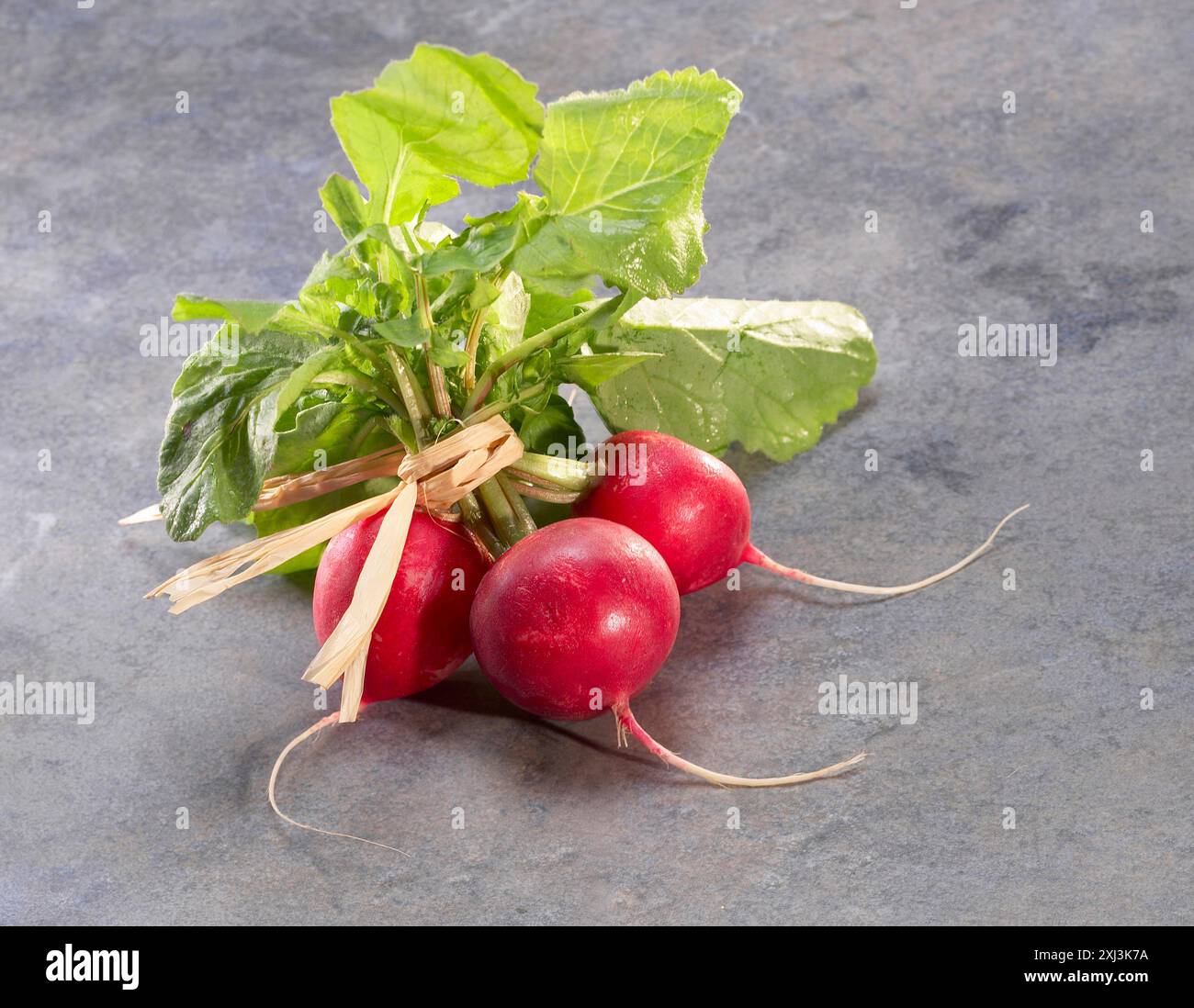 Round tied hi-res stock photography and images - Alamy