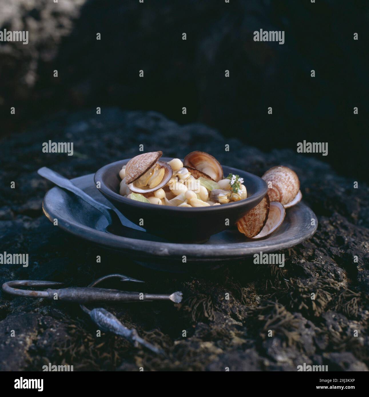 Pan-fried carpet-shell clams with haricot beans Stock Photo - Alamy