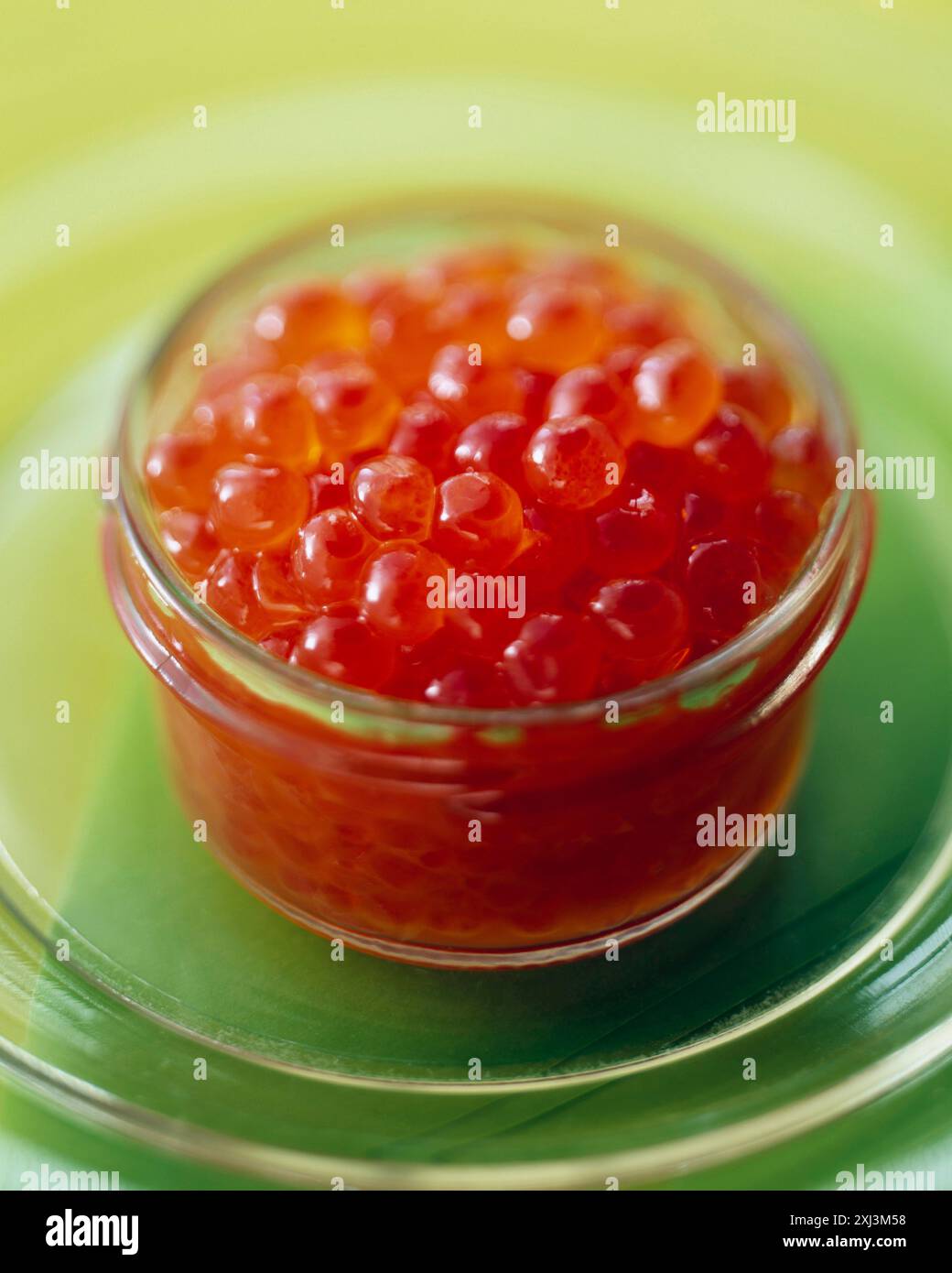 Atlantic salmon eggs hi-res stock photography and images - Alamy