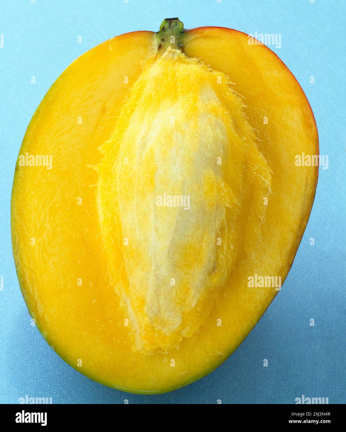 Half a mango Stock Photo - Alamy