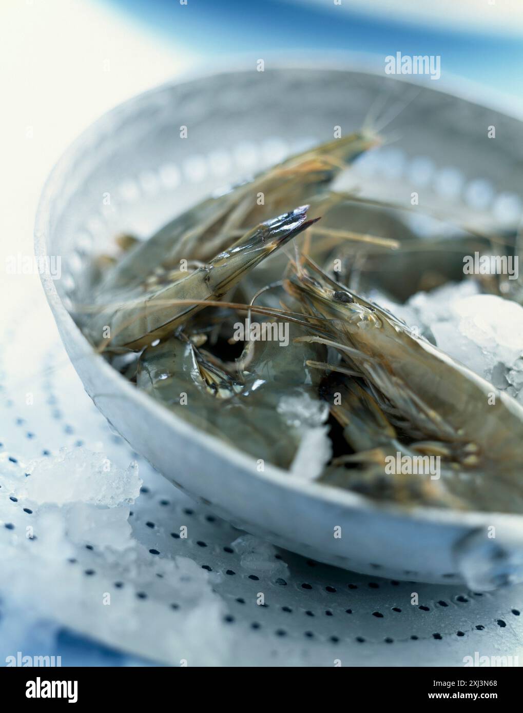 raw tiger prawns Stock Photo - Alamy