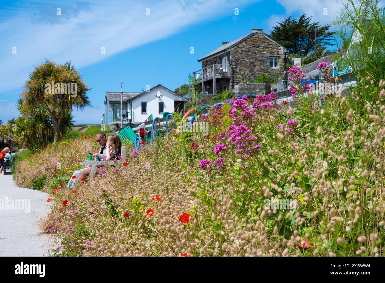 Man and woman sitting on bench surrounded by wild flowers growing along ...