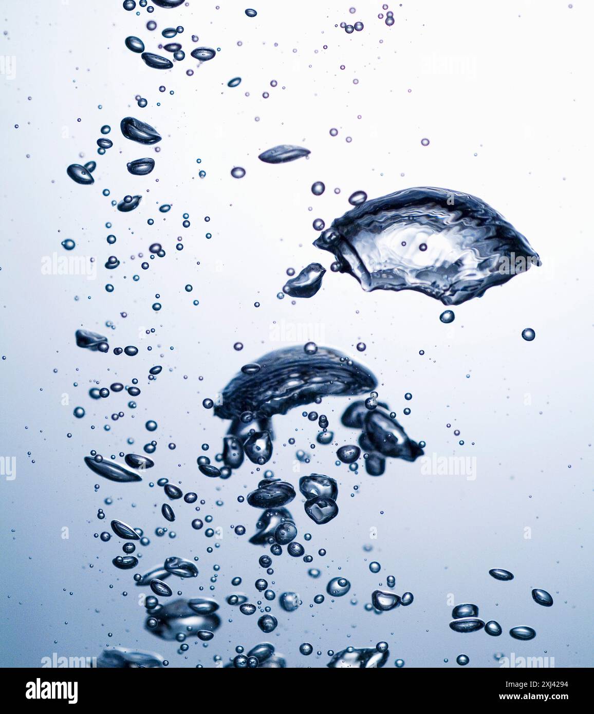 Water whisk hi-res stock photography and images - Alamy