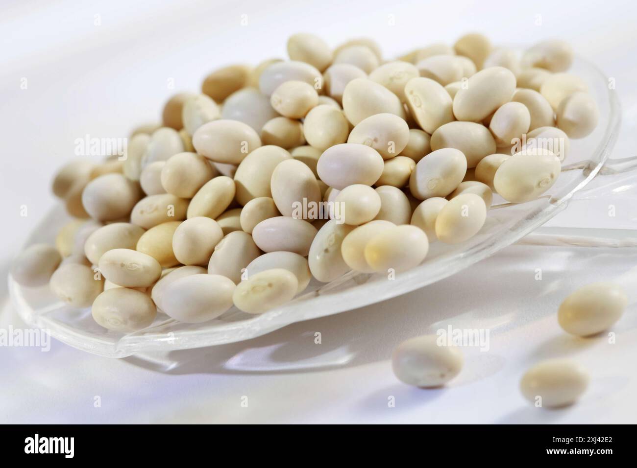 White haricot beans Stock Photo - Alamy