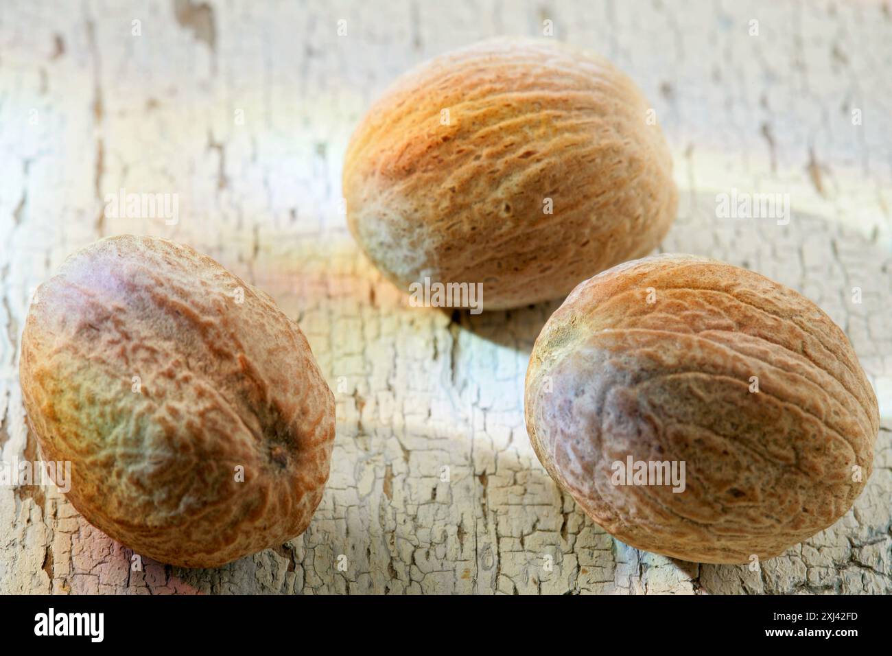 Cashew nuts with shells Stock Photo - Alamy