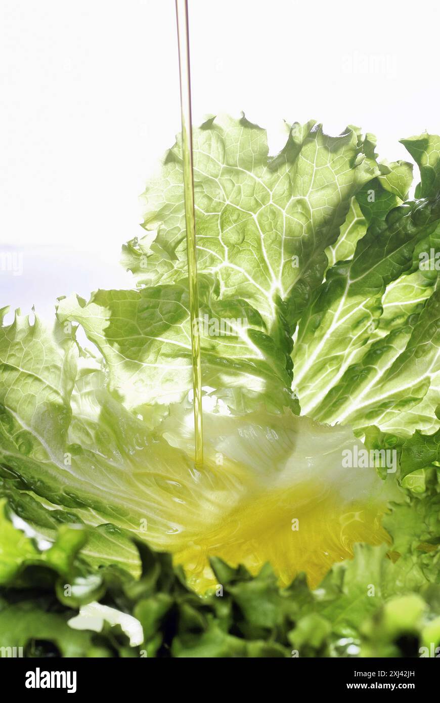 Pouring a drop of olive oil onto a lettuce leaf Stock Photo - Alamy