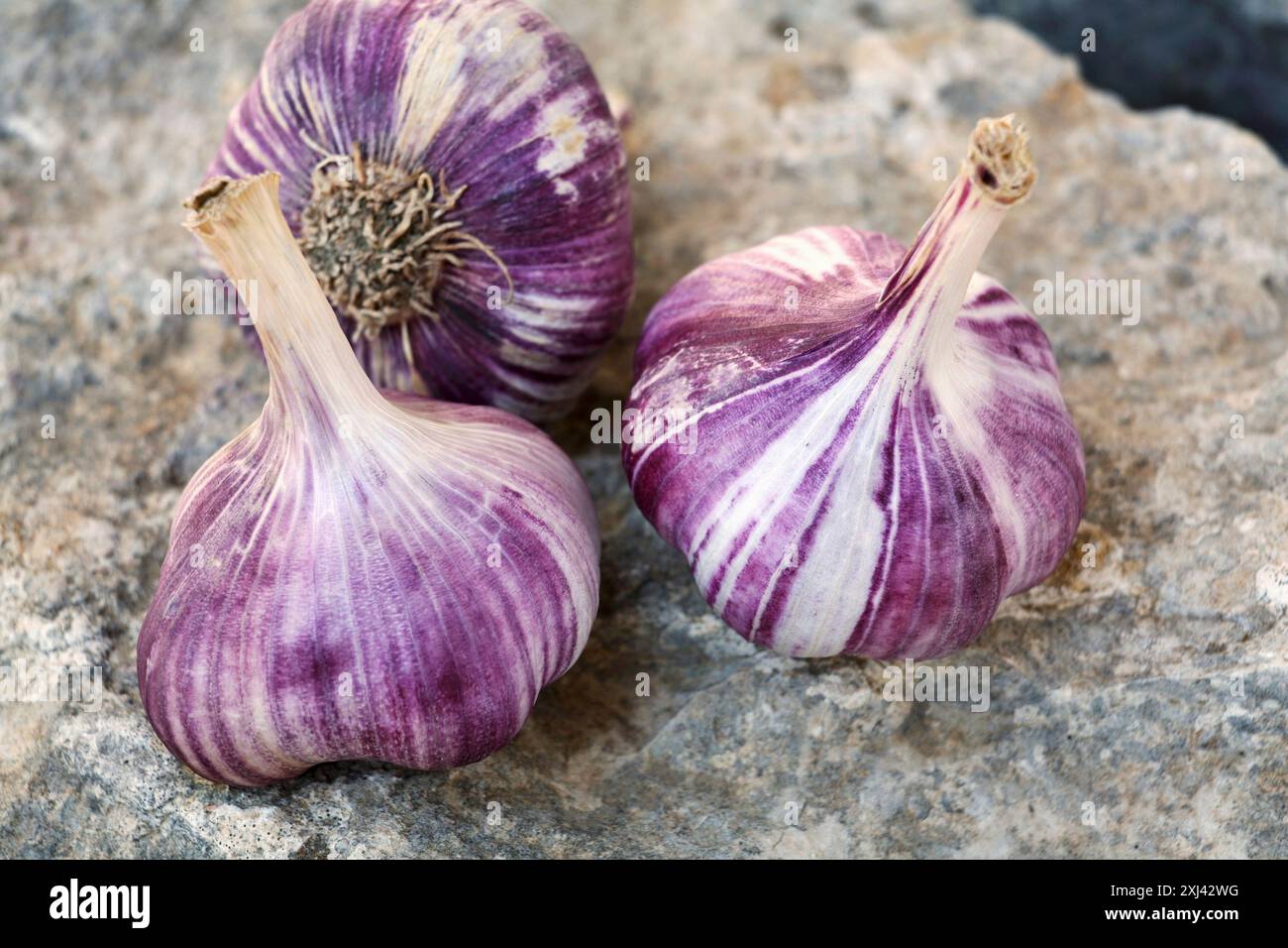 Rock garlic hi-res stock photography and images - Alamy
