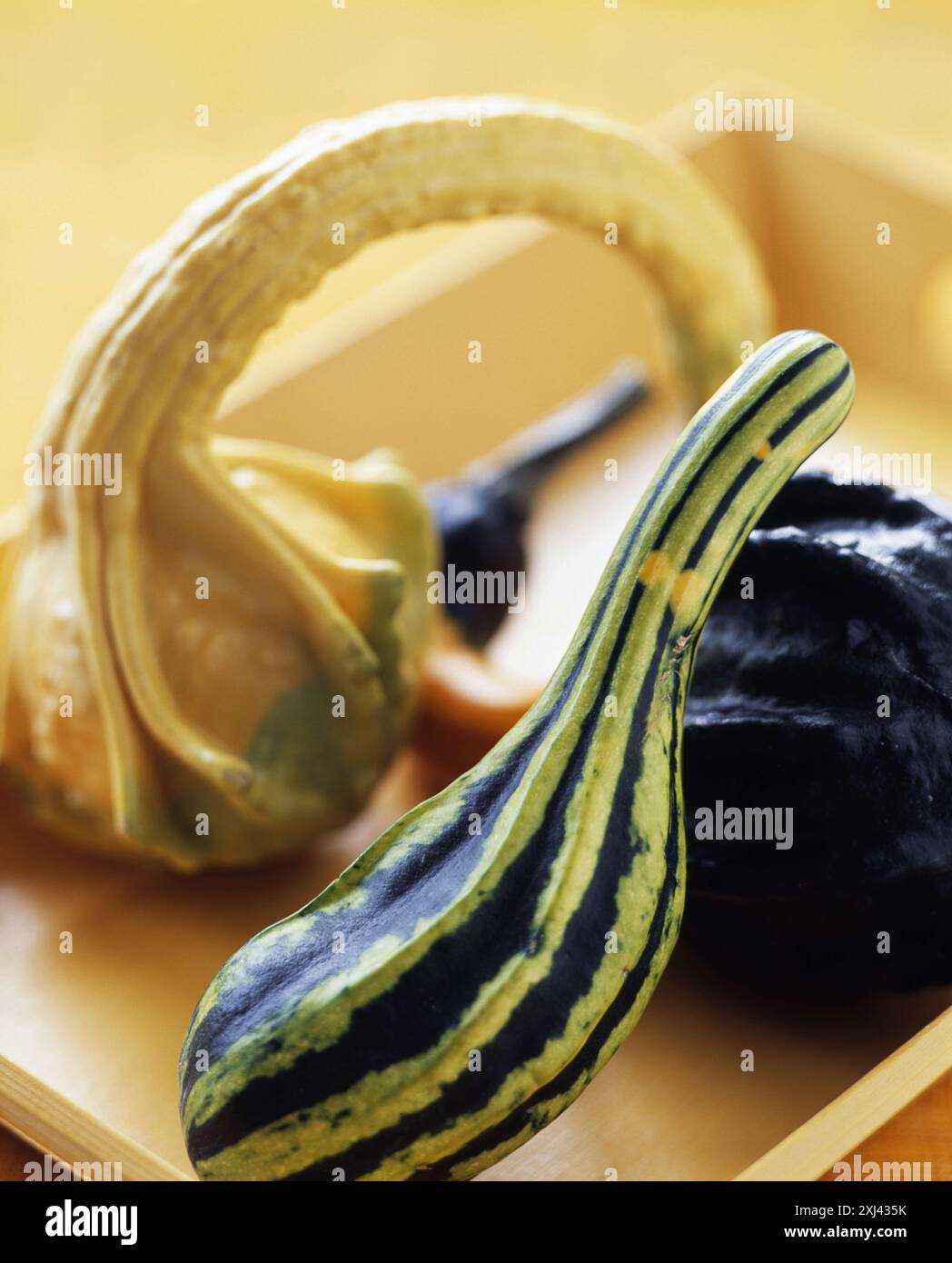 Selection of squashes Stock Photo - Alamy