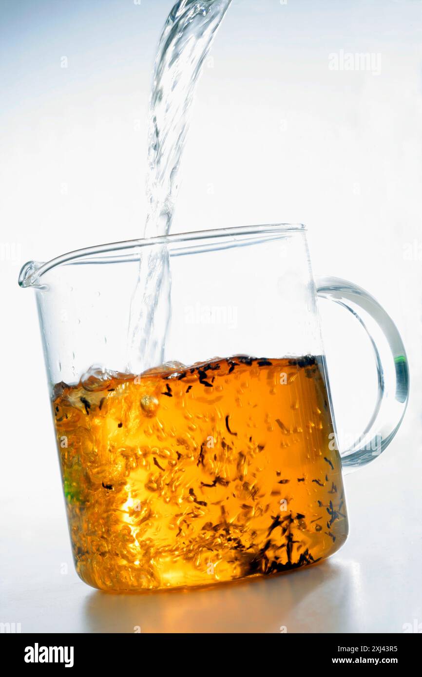 Pouring hot water into a jug with tea Stock Photo - Alamy