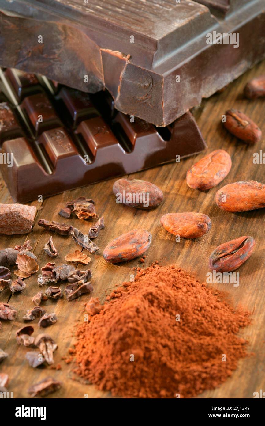 Different forms of cocoa Stock Photo - Alamy