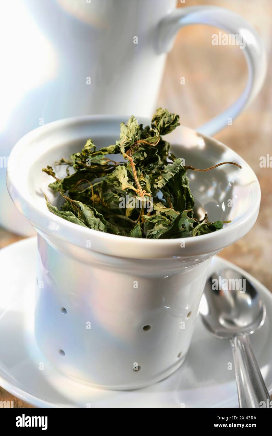 Loose tea in teapot sieve Stock Photo - Alamy