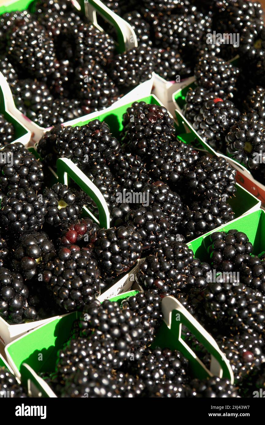 Blackberry punnets hi-res stock photography and images - Alamy