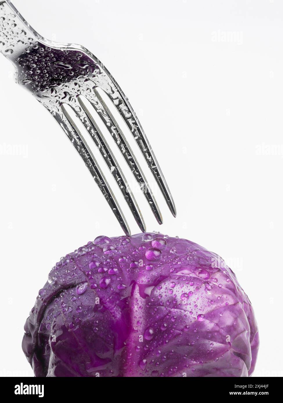 Fork pricking a small red cabbage Stock Photo - Alamy