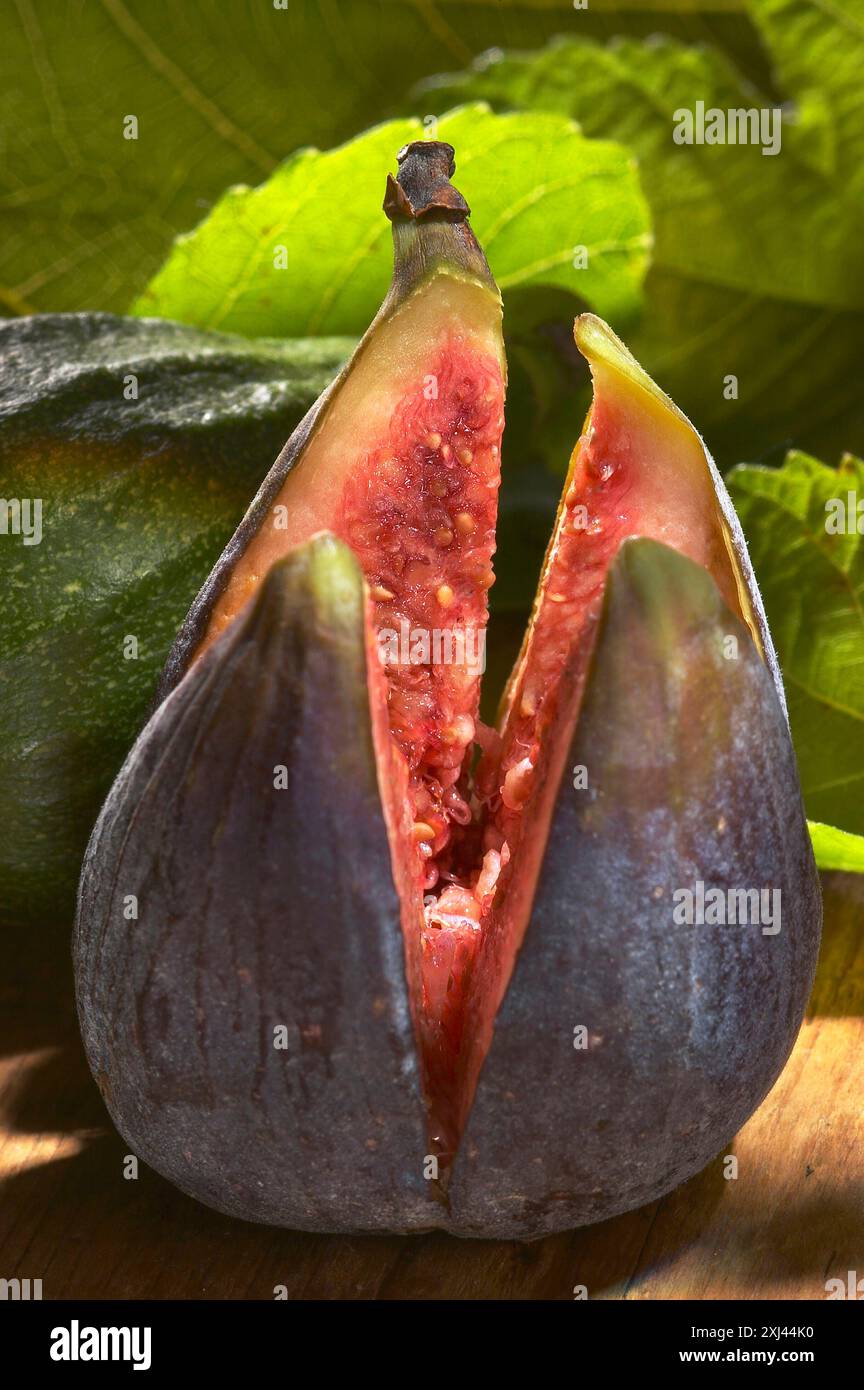 Four fig hi-res stock photography and images - Alamy