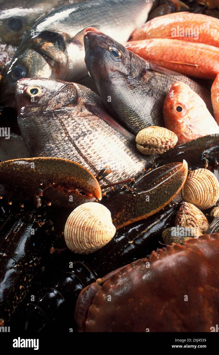 selection of seafood Stock Photo - Alamy