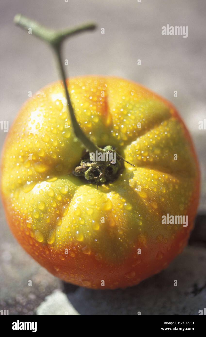 Pumpkin tomato hi-res stock photography and images - Alamy