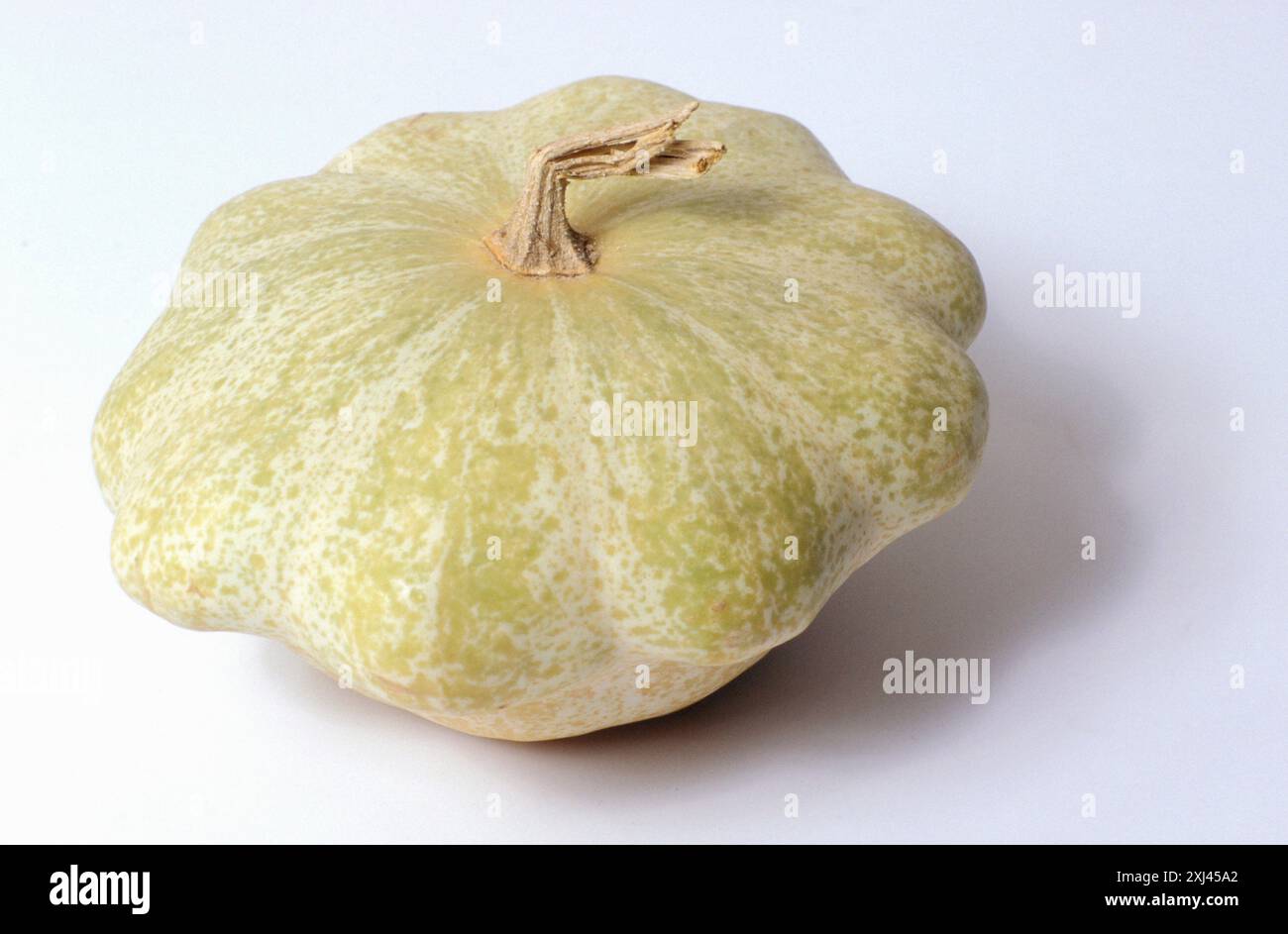 Melon squash hi-res stock photography and images - Alamy