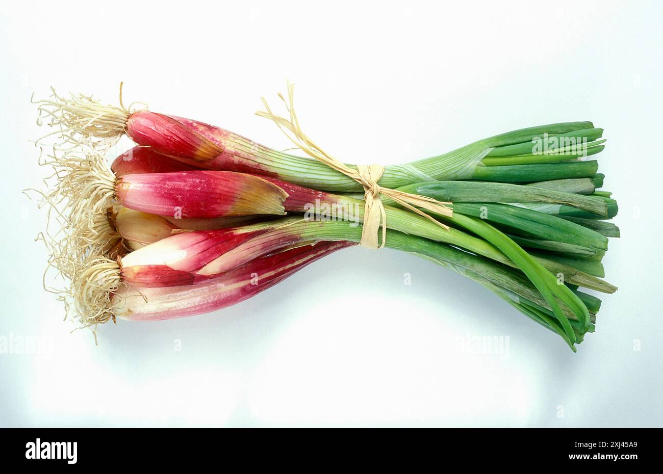 Vegetable shallots red onion hi-res stock photography and images - Alamy