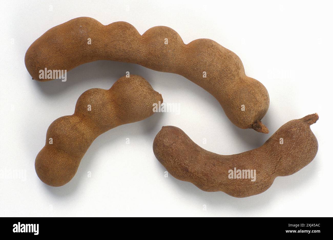 Cut out tamarind hi-res stock photography and images - Alamy