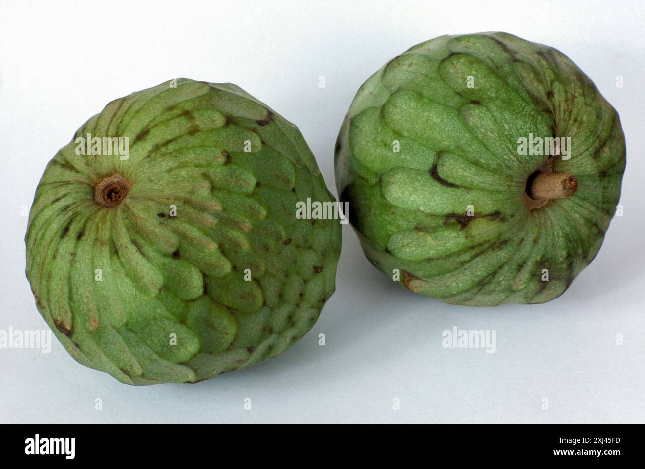 Anona hi-res stock photography and images - Alamy