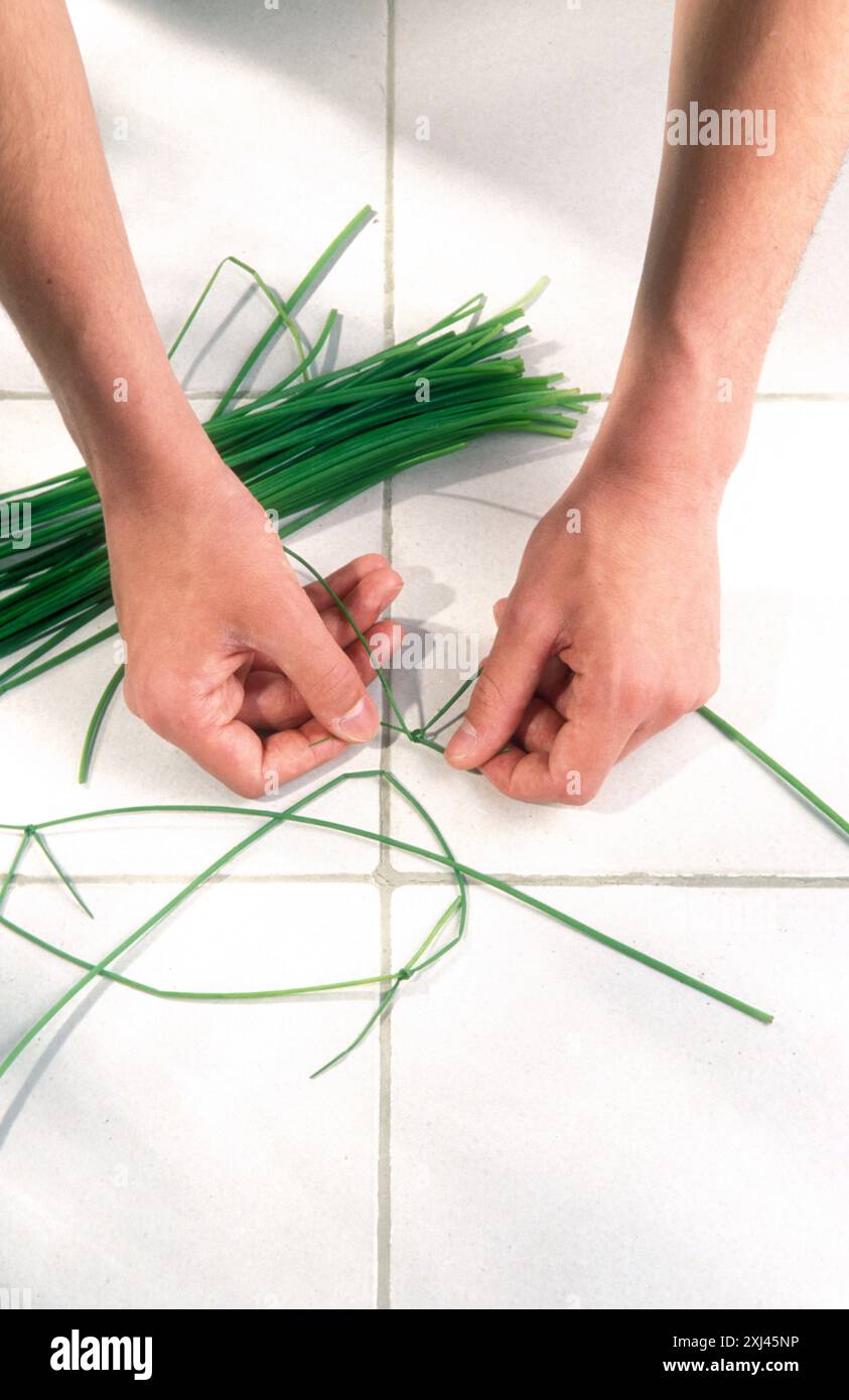 Preparing the sprigs of chives Stock Photo - Alamy