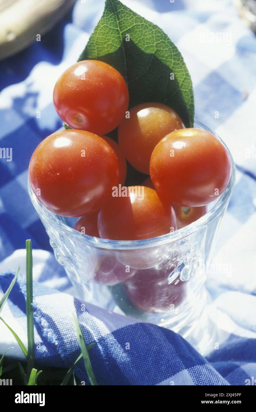 cherry tomatoes, picnic Stock Photo - Alamy