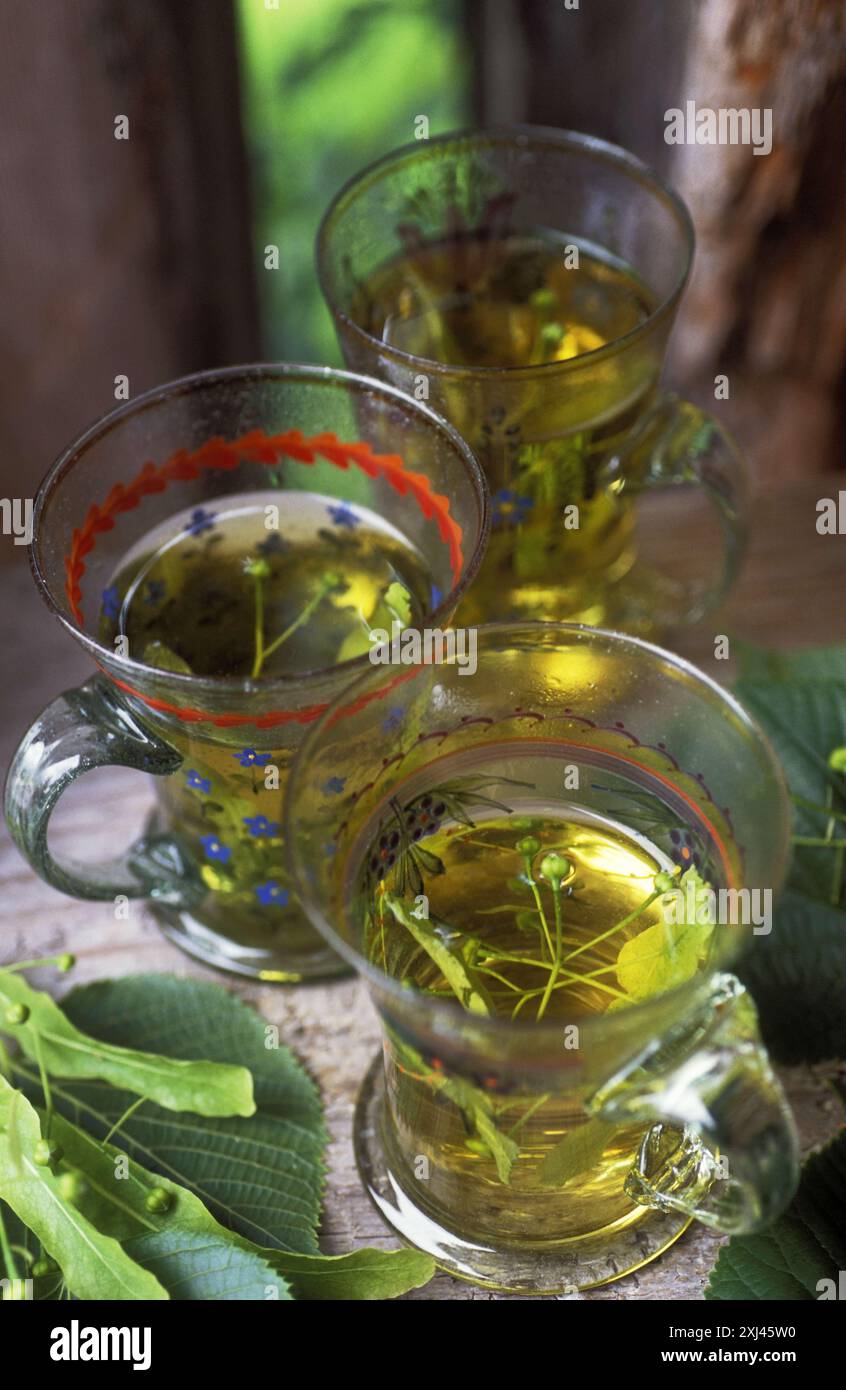 Lime blossom tea hi-res stock photography and images - Alamy