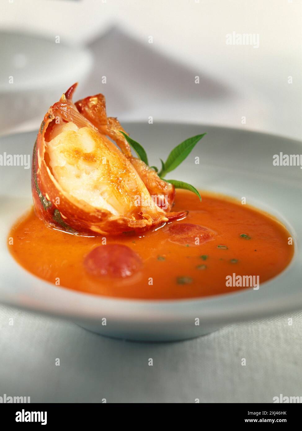 Spiny lobster caldereta Stock Photo - Alamy