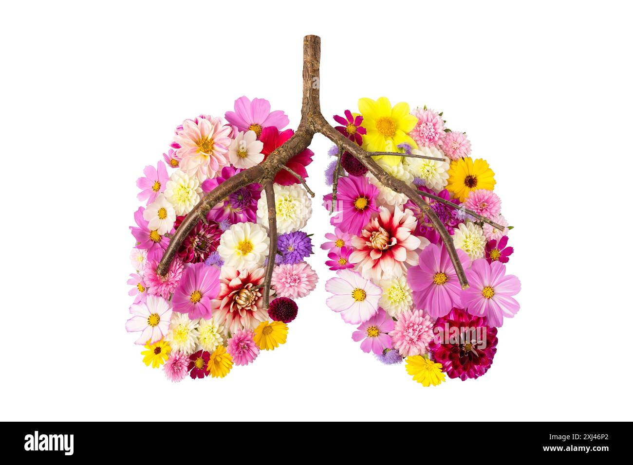 Flower lungs hi-res stock photography and images - Alamy