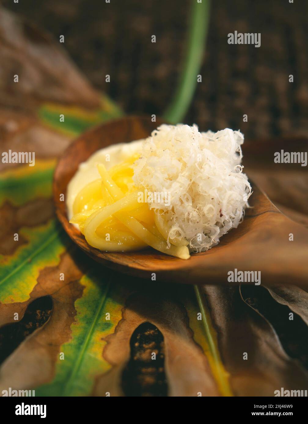 Nut mango brazil hi-res stock photography and images - Alamy