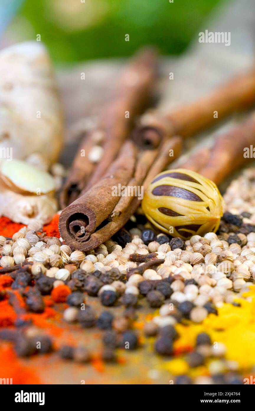 Selection of spices Stock Photo - Alamy