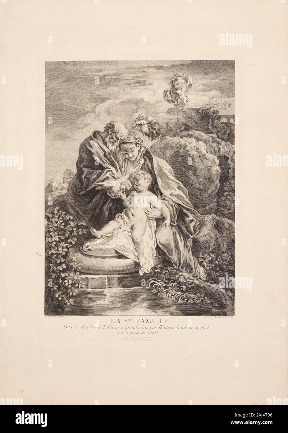 Famille de renard hi-res stock photography and images - Alamy