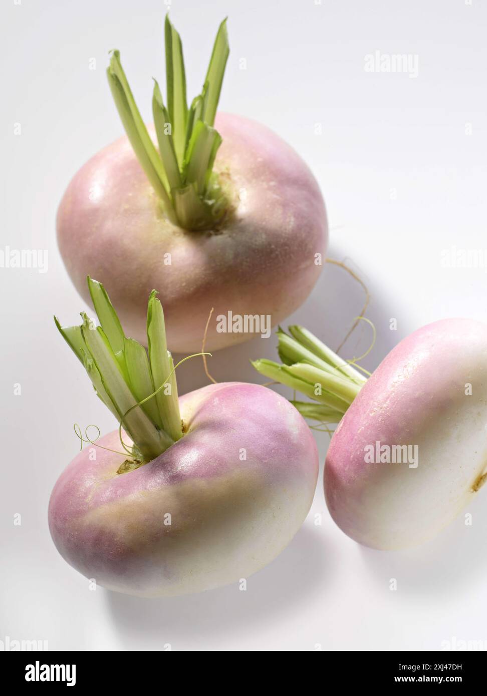 Pink turnip hi-res stock photography and images - Alamy