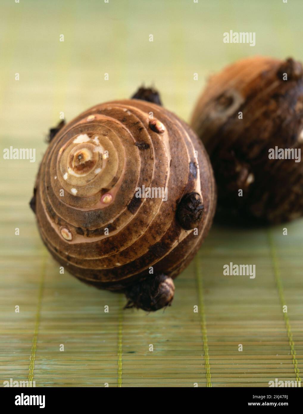 Chinese root vegetable Stock Photo - Alamy