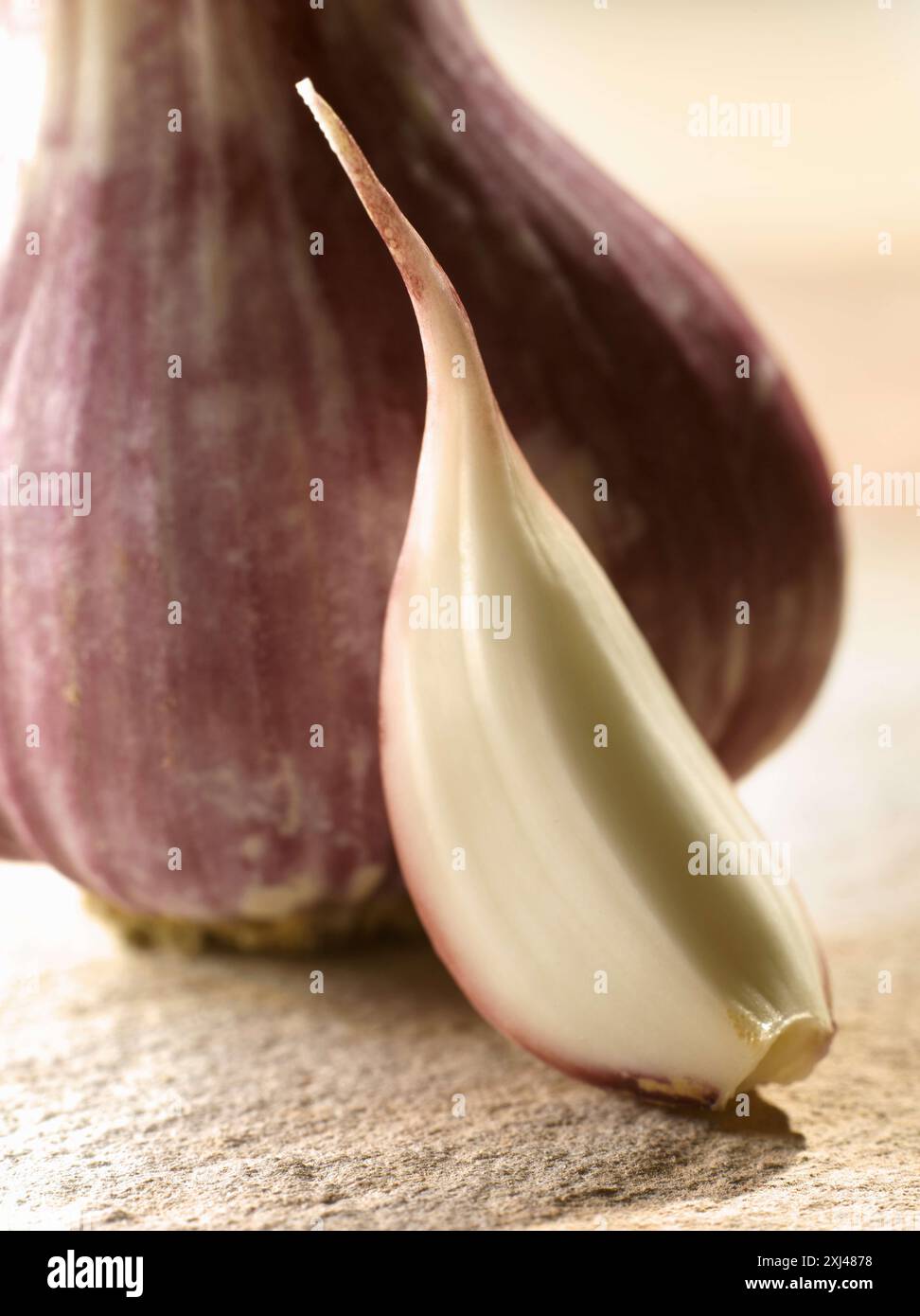 Head and clove of fresh garlic Stock Photo - Alamy