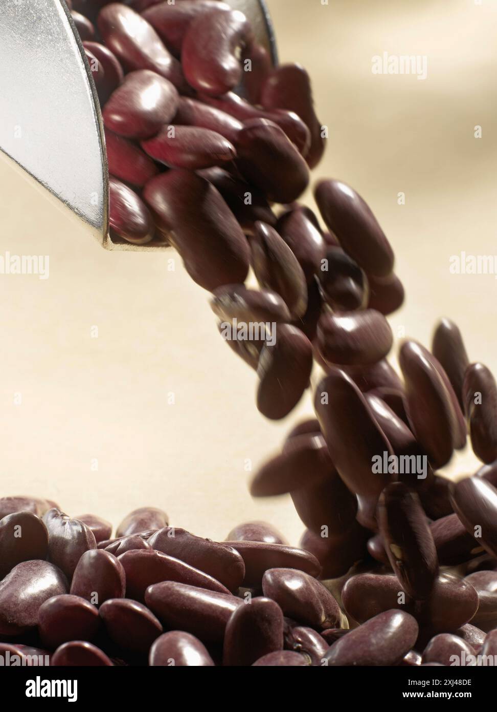Red kidney beans Stock Photo - Alamy