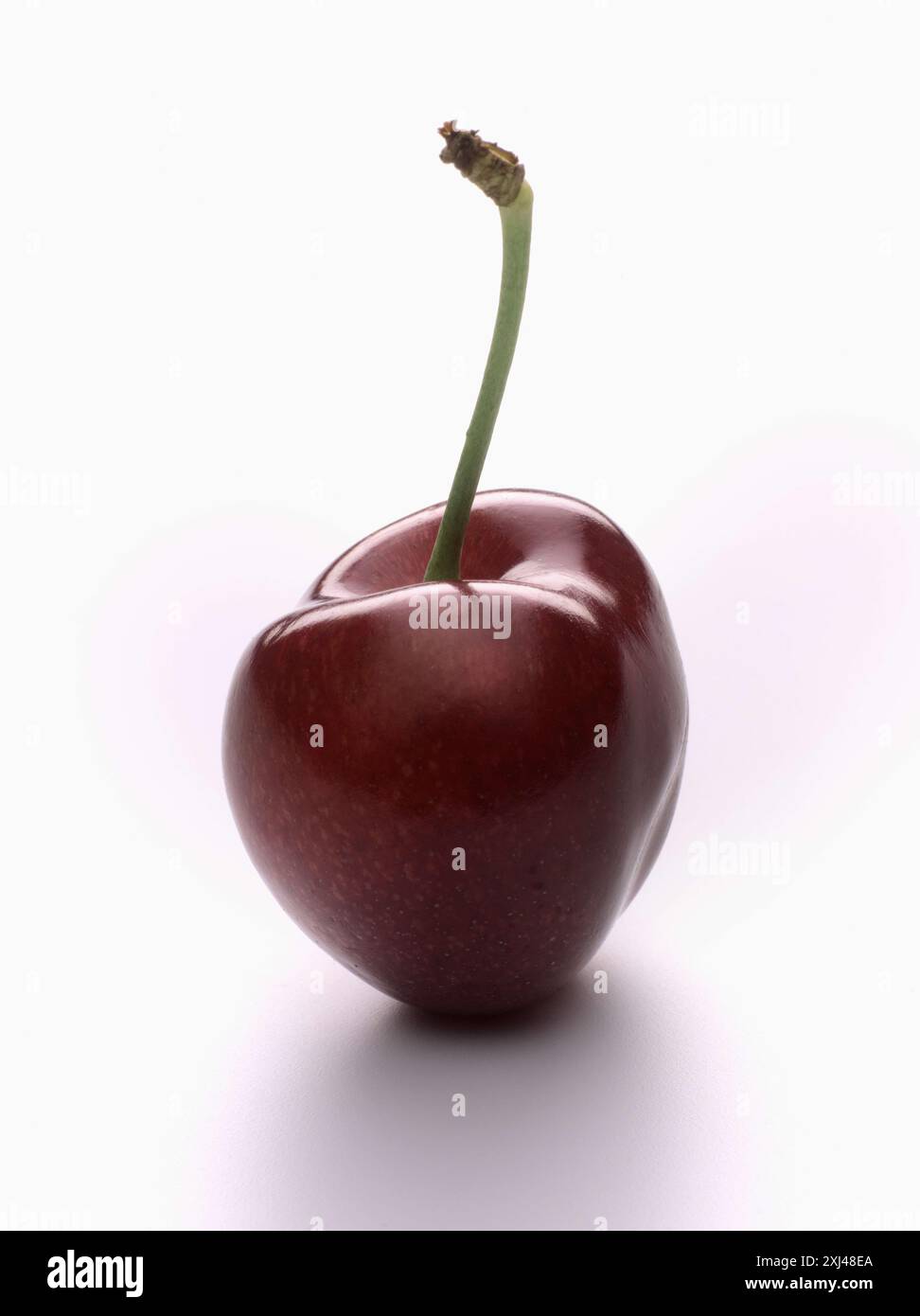 Burlat hi-res stock photography and images - Alamy