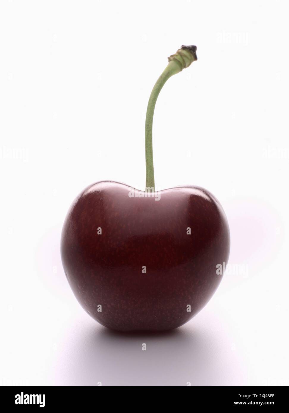 Burlat hi-res stock photography and images - Alamy