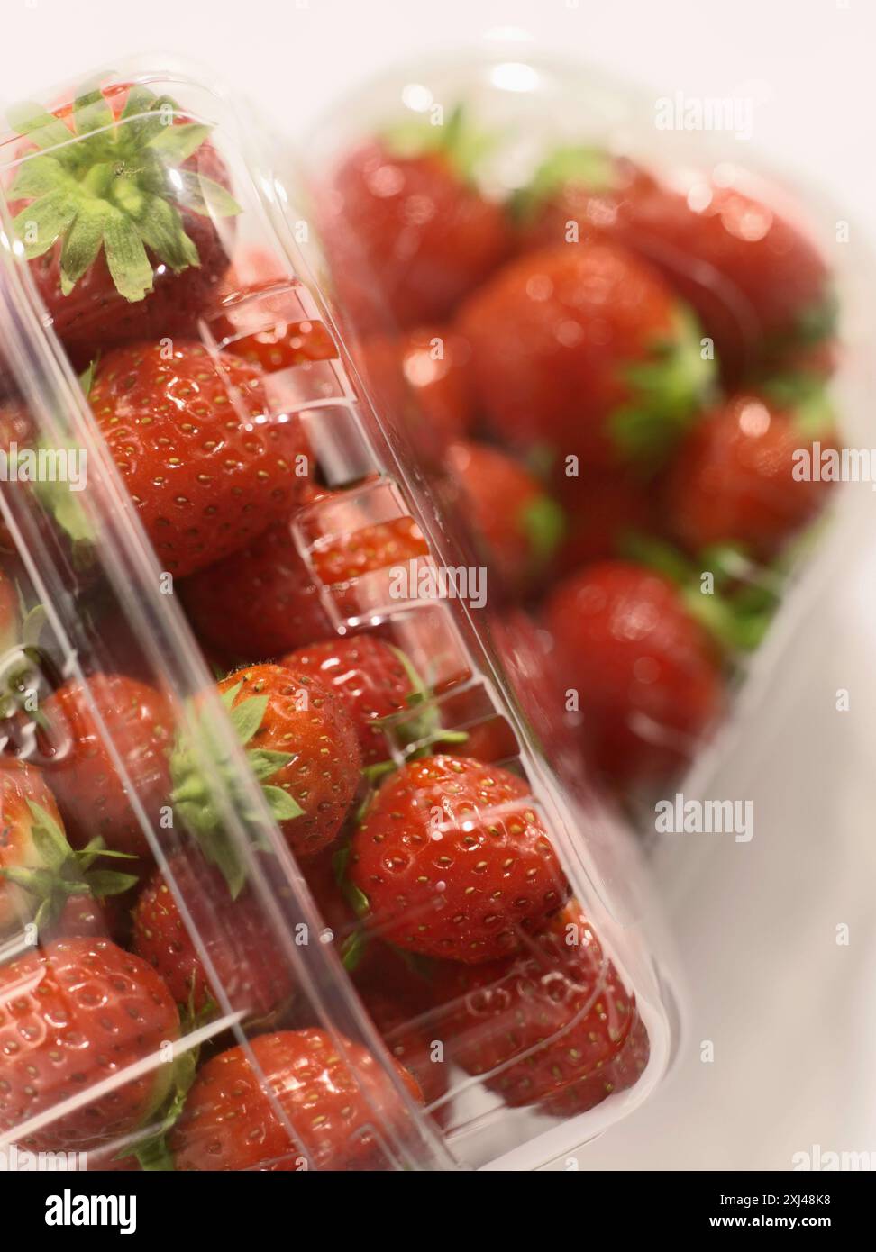 Plastic punnets of industrial strawberries Stock Photo - Alamy