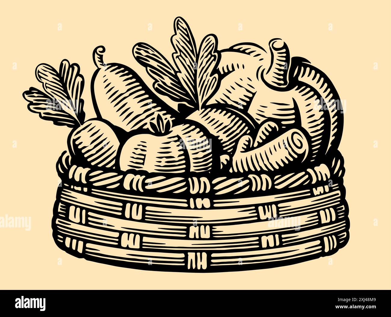 Basket with various fresh vegetables. Farm healthy organic food. Hand ...