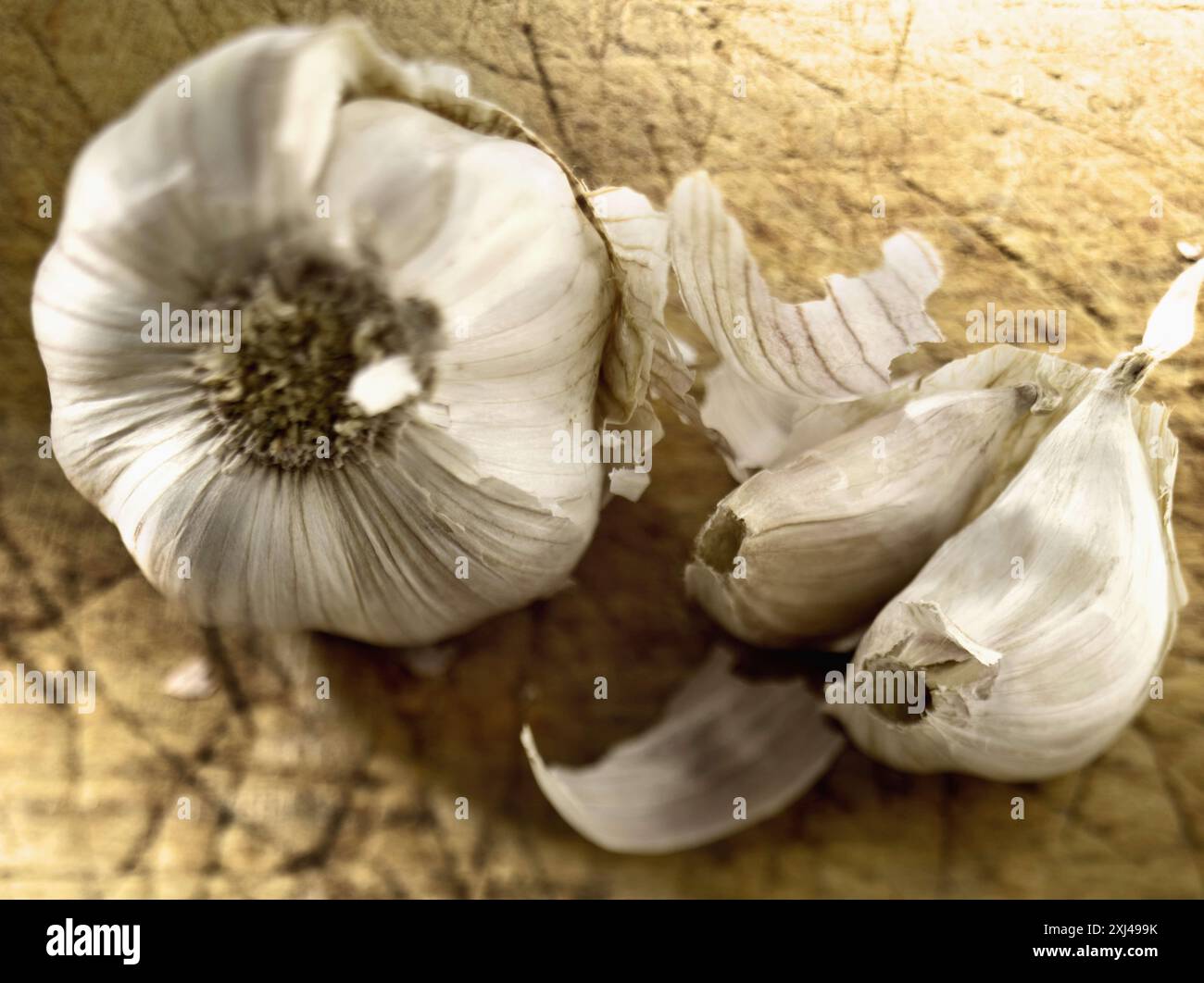 head and cloves of garlic Stock Photo - Alamy
