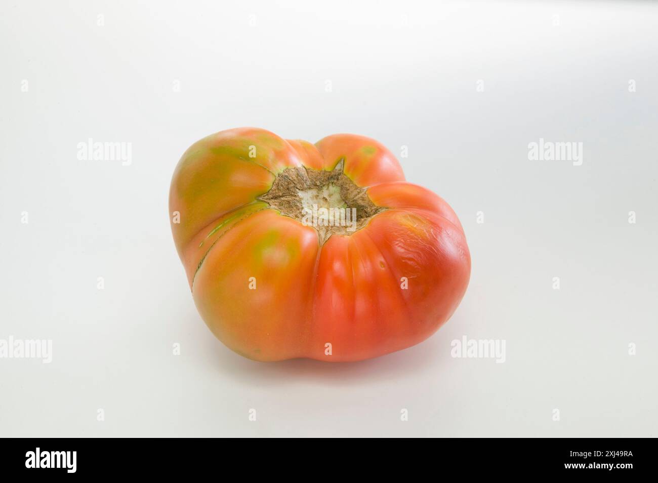 Tomato from Montserrat Stock Photo - Alamy