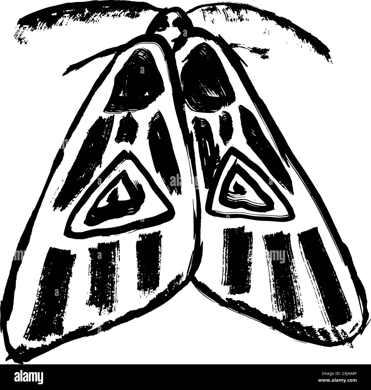 Moth drawing Black and White Stock Photos & Images - Alamy