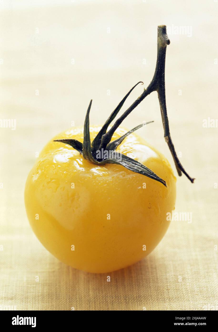 Yellow subject hi-res stock photography and images - Alamy