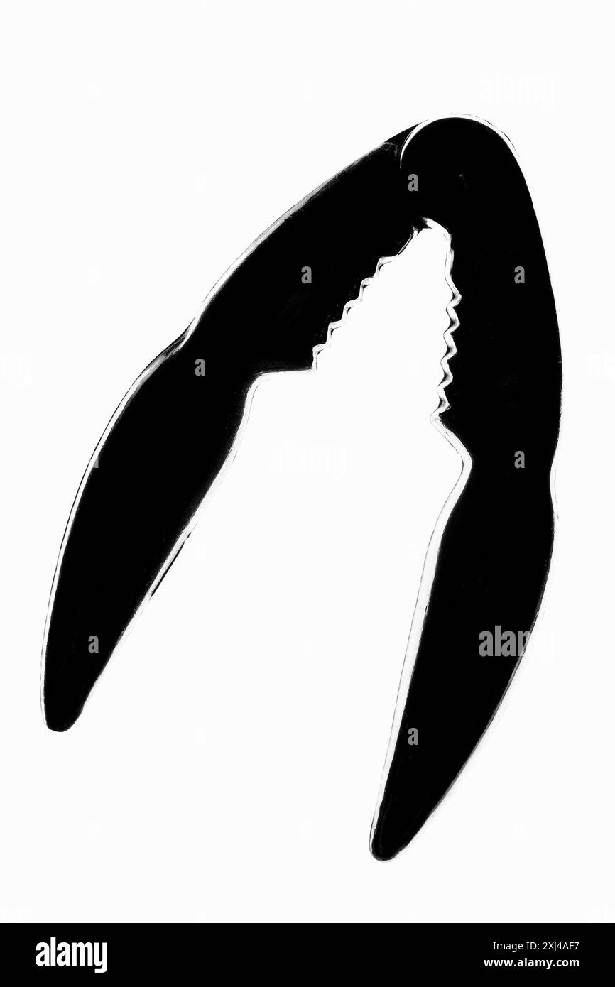 Crab pincer Black and White Stock Photos & Images - Alamy