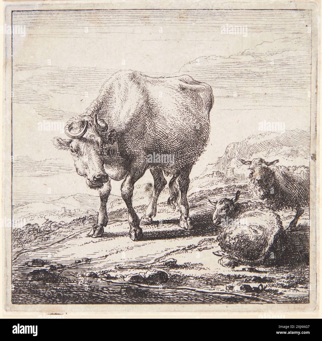Etching by Nicolaes Berchem showing a standing cow and two sheep lying ...