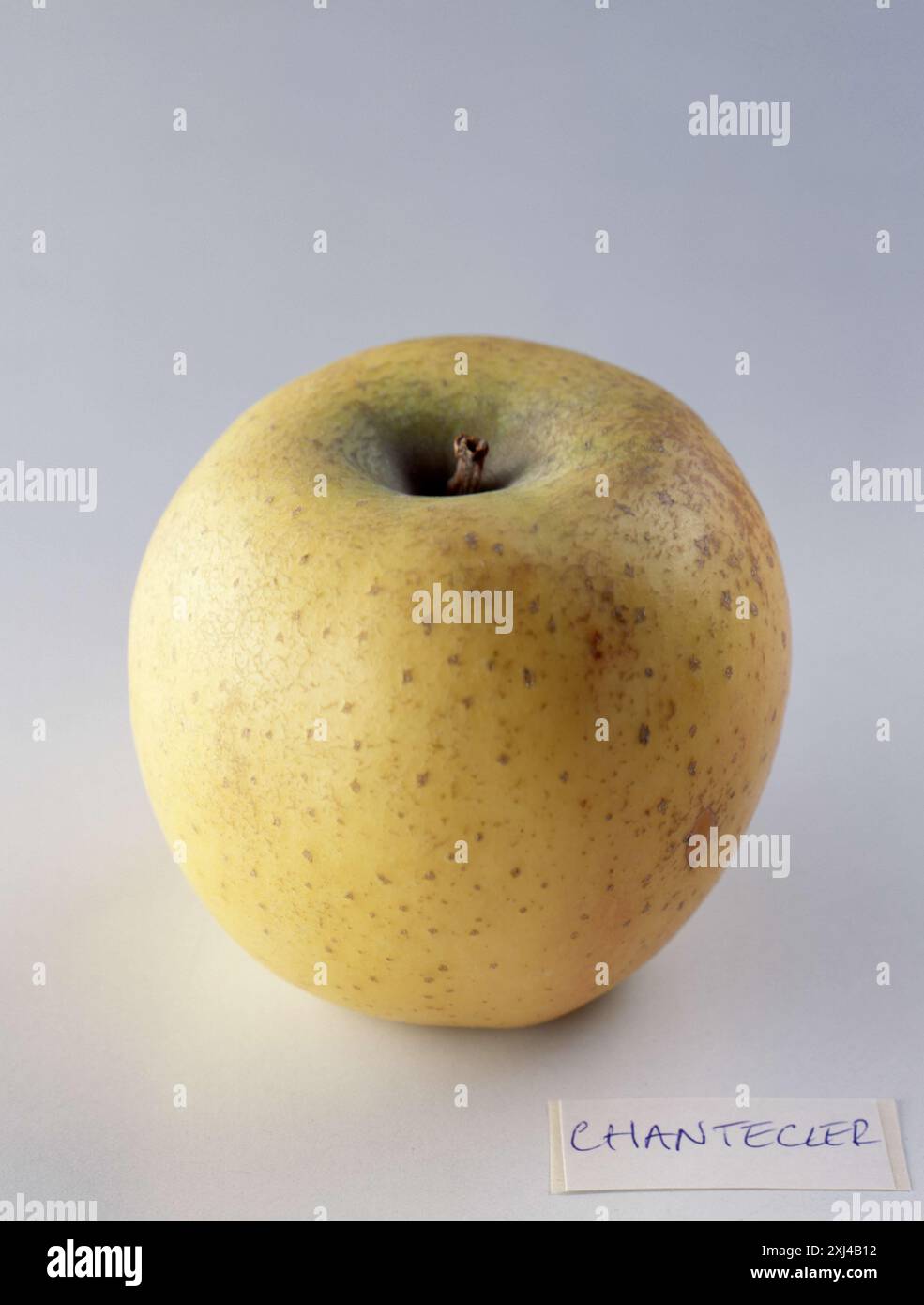 Chantecler apple hi-res stock photography and images - Alamy