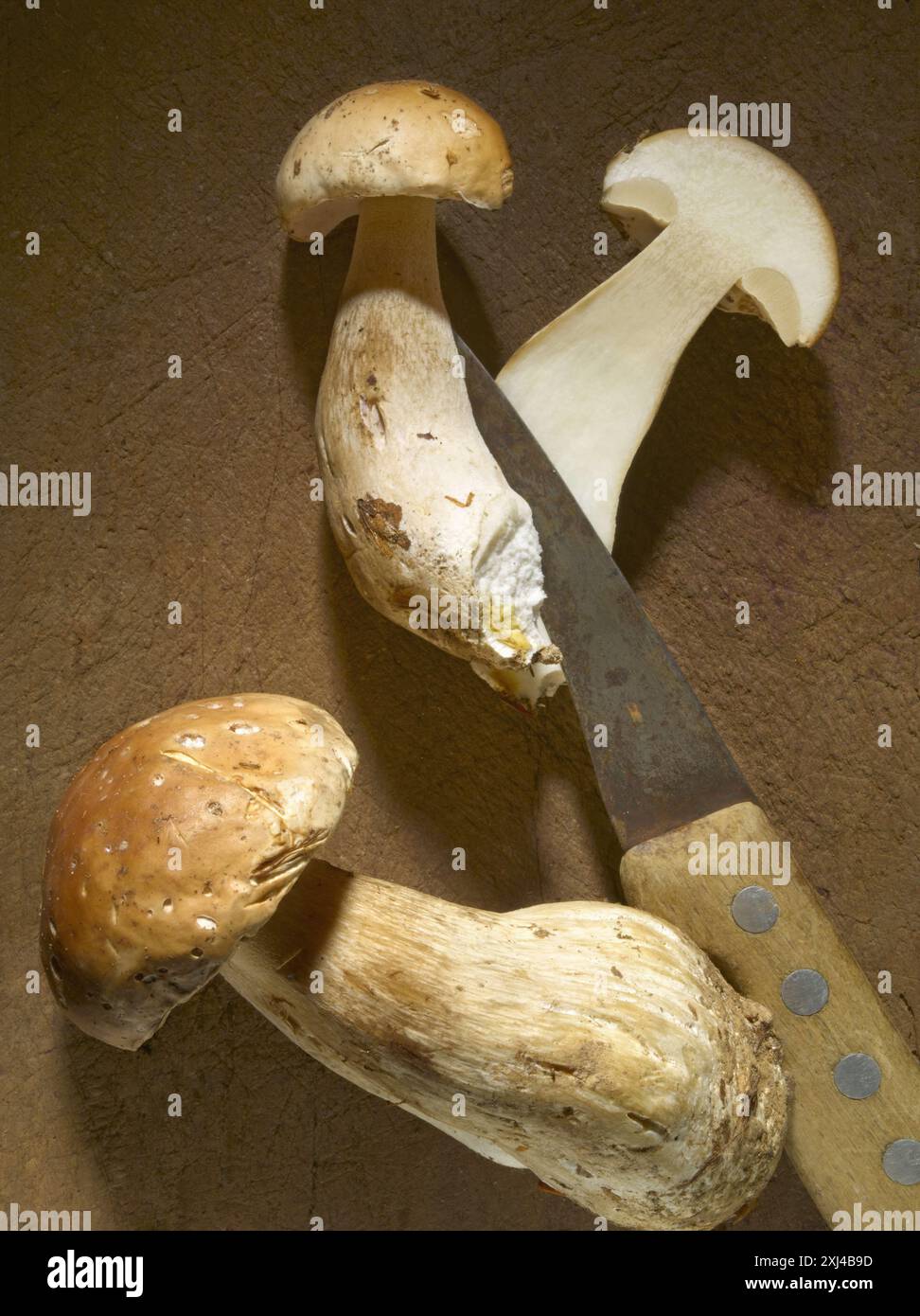 Ceps and knife hi-res stock photography and images - Alamy