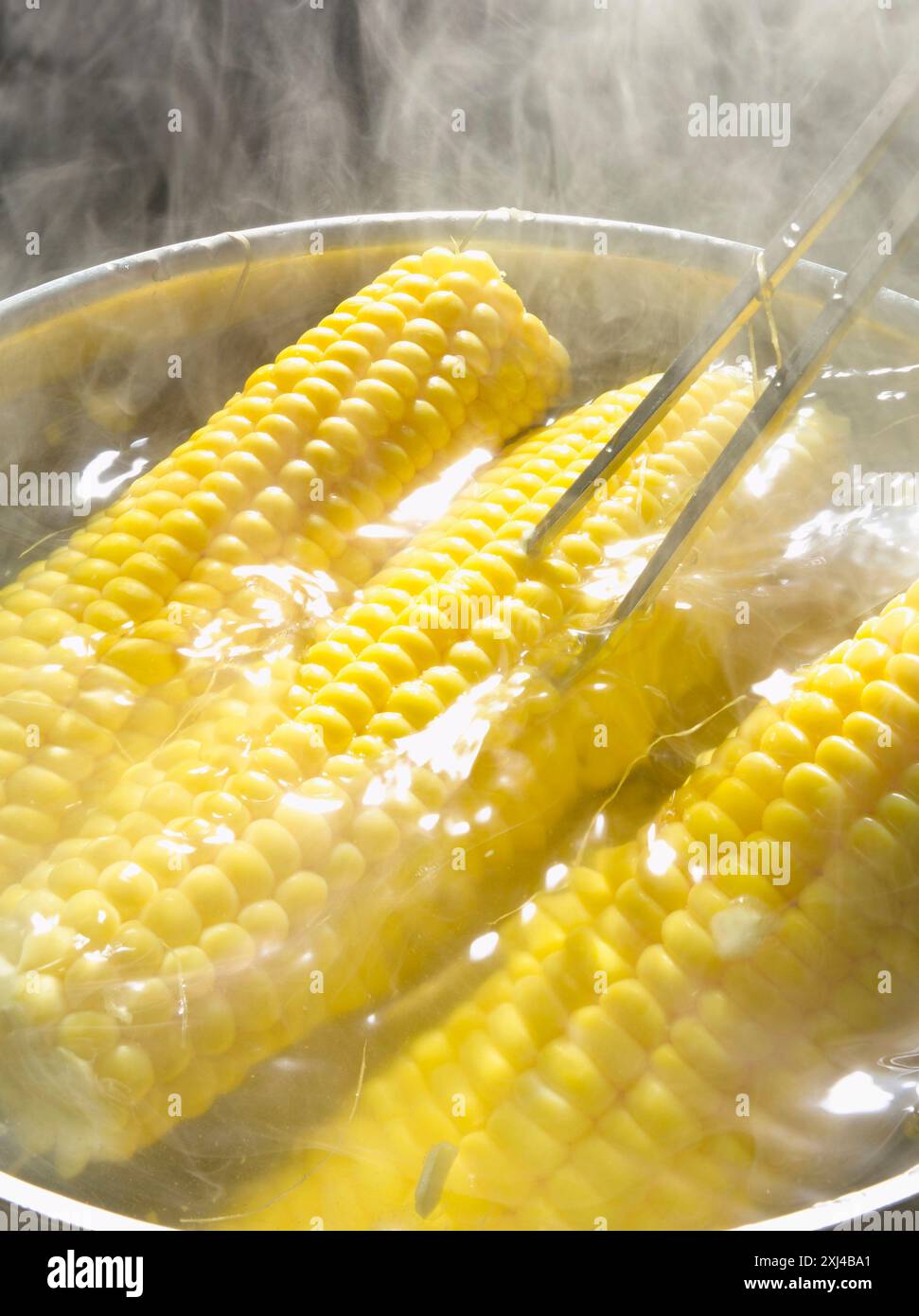 Cooking corn on the cob Stock Photo - Alamy